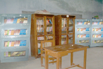 Kabutari Devi Rajeshwar Tripathi Smarak PG College, Gorakhpur - courses ...