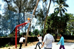 Divekar College of Commerce, Karwar - Courses, Fee, Cutoff, Ranking ...